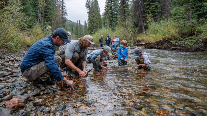 Gold Panning Beginner's Guide: Start Your Gold Prospecting Journey