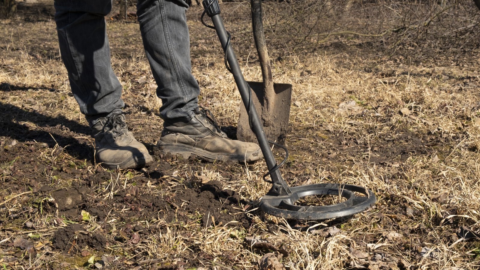 Metal Detectors For Gold: A Buyer's Guide | 2026